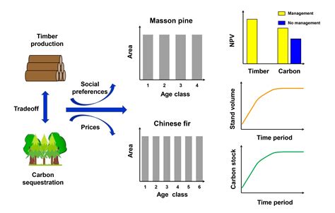 湖南会同杉木林生态系统国家野外科学观测研究站