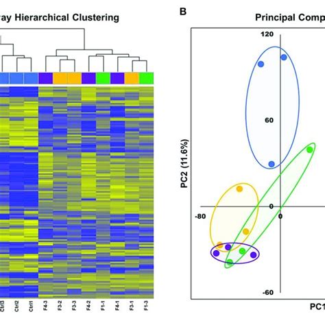 Overall Transcriptome Analysis Results A Hierarchical Clustering Download Scientific