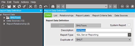 Ssrs Report Generation From Rdd Page 2 Kinetic Erp Epicor User