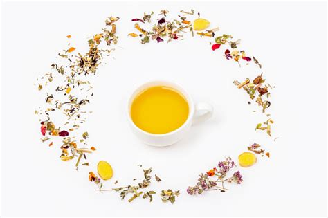 흰색 배경에 다른 드라이 티 잎과 생강의 구색과 녹차 컵의 평면 평지 레이아웃 텍스트 공간을 복사 다도용 유기농 허브 녹아시아 차 0명에 대한 스톡 사진 및 기타 이미지