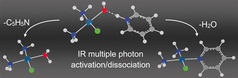 Cisplatin Binding To Biological Ligands Revealed At The Encounter Complex Level By IR Action