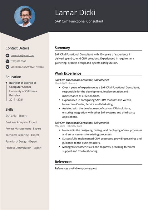 SAP Crm Functional Consultant Resume Examples Template 20 Tips