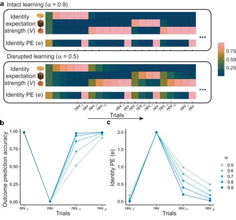 Midbrain Signaling Of Identity Prediction Errors Depends On Orbitofrontal Cortex Networks Pmc