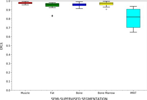 Box Plots Showing Dice Scores For Various Tissues Segmented Using Our
