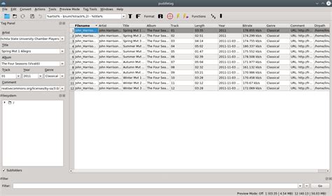 Puddletag Audio Tag Editor For Linux LinuxMaster Club