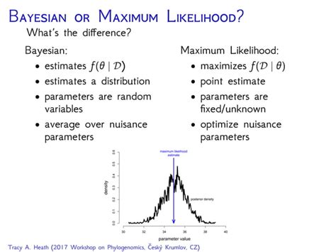 Introduction To Bayesian Phylogenetics Ppt