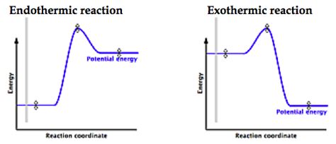 Endothermic And Exothermic Graphs