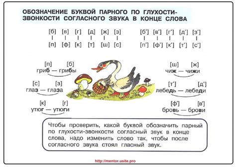 Картинки 2 класс парные согласные 28 шт 1532