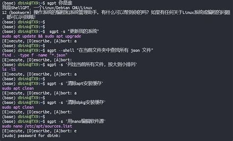 Shellgpt 在终端里使用 Chatgpt（用自然语言执行命令）：更新我的系统、从大到小列出文件、帮我安装 Docker 小众软件