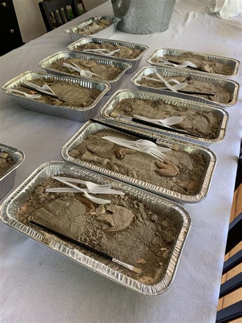 Dinosaur Fossil Dig Uncover The Secrets Of The Prehistoric World