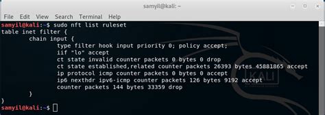 Debian Kali Linux Nftables Firewall АЙТИСЪРВИС