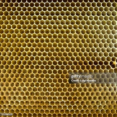 Beehive Shape Photos And Premium High Res Pictures Getty Images