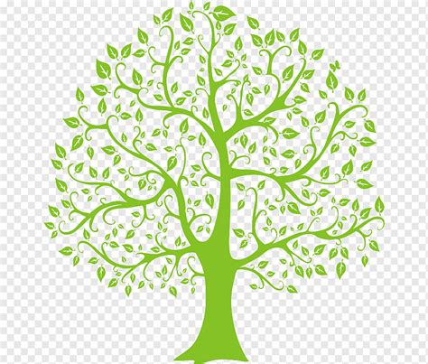 Tree Tree Leaf Text Branch Png PNGWing
