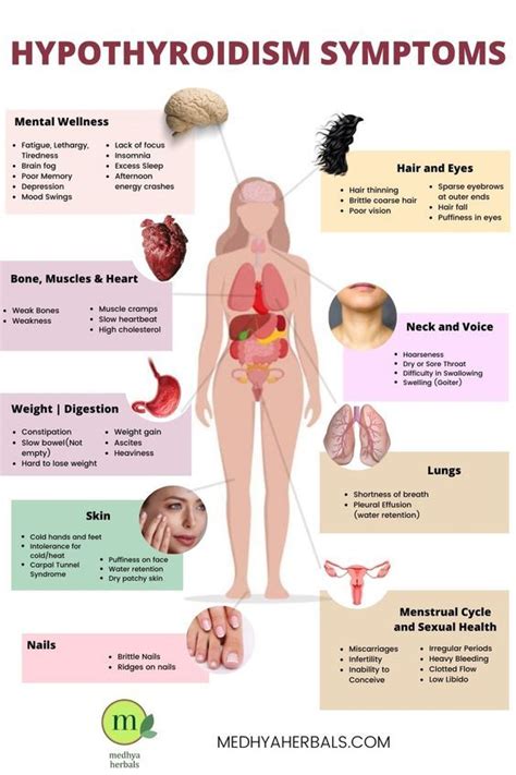 Hypothyroidism Ayurvedic Treatment Artofit