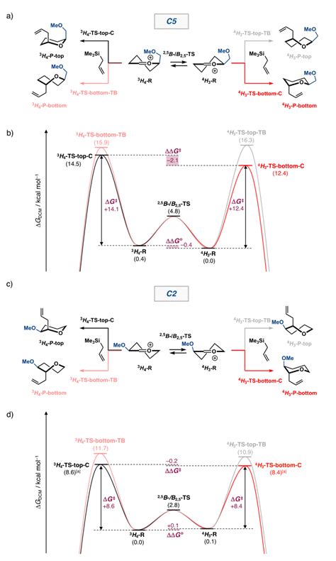 The Possible Se2 Reaction Pathways And The Corresponding Reaction Download Scientific Diagram