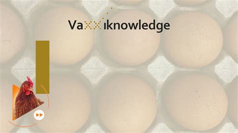 [video] Basem Mohamed Abdel Hamid Ahmed On Linkedin Safety Efficacy