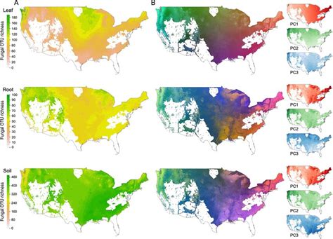 Predicted Spatial Variation Of Fungal Richness And Community Turnover Download Scientific