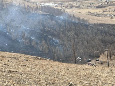 Нийслэлийн Байгаль орчны Нийслэлийн Байгаль орчны газар