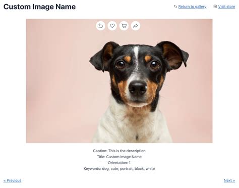 showing all exif meta data for an image client gallery help for sunshine photo cart