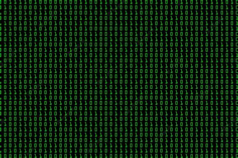 Binary 8th 12th Grade Quiz Wayground
