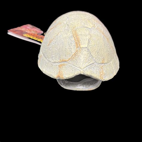 Exo Terra Tortoise Skeleton Hides Living Art Ball Pythons