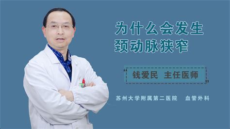 颈动脉 医学术语 搜狗百科