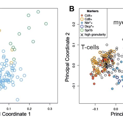 Low Dimensionality Projection Of Single Cell Rna Seq Data From