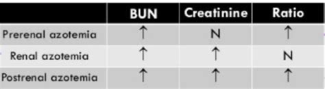 Dysuria And Incontinence Diarrhea And Constipation Final Exam Flashcards