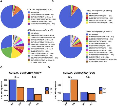 Frontiers Loss Of Tet2 Increases B 1 Cell Number And Igm Production While Limiting Cdr3 Diversity