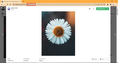 how to link unsplash images in html and css