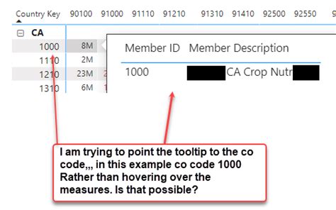 Point A Tooltip To A Non Measure In A Matrix Visua Microsoft Fabric Community