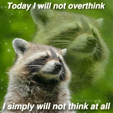 Raccoon Meme Excellent