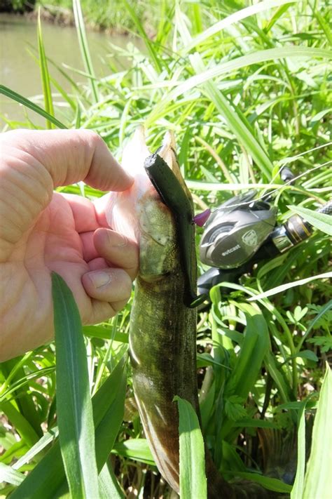 Катушки Black Side 2024 | ВКонтакте