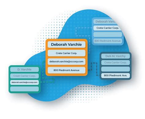 Unlock Hidden Insights With Entity Resolution Software Profisee