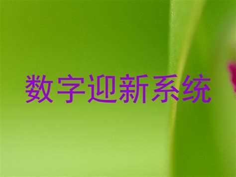 基于大模型的高校数字迎新系统设计与实现 迎新管理系统 迎新系统