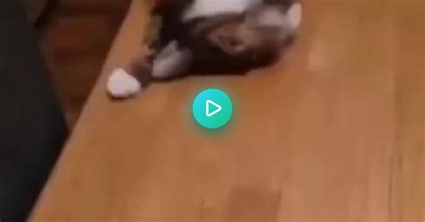 Are You Just Gonna Stand There And Watch Album On Imgur