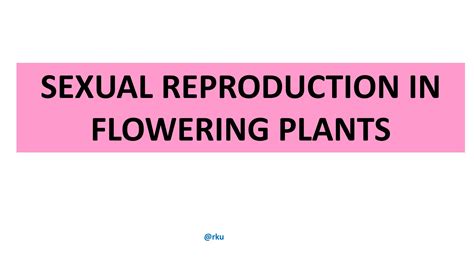 Flow Charts XII Sexual Reproduction In Flowering Plants Pptx