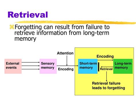 Myers Psychology 5th Ed Ppt Download