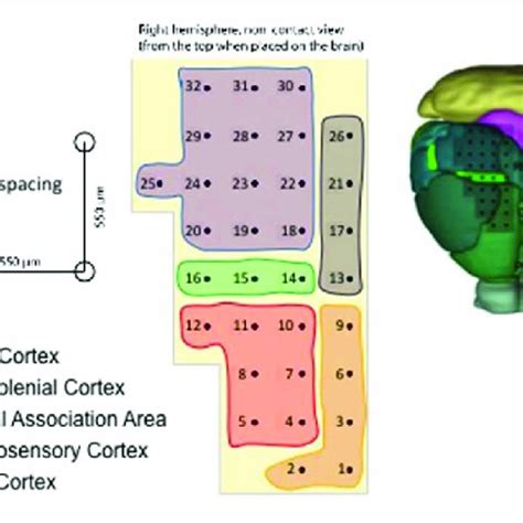 Representation Of The Multi Electrode Array Mea Used For The Data