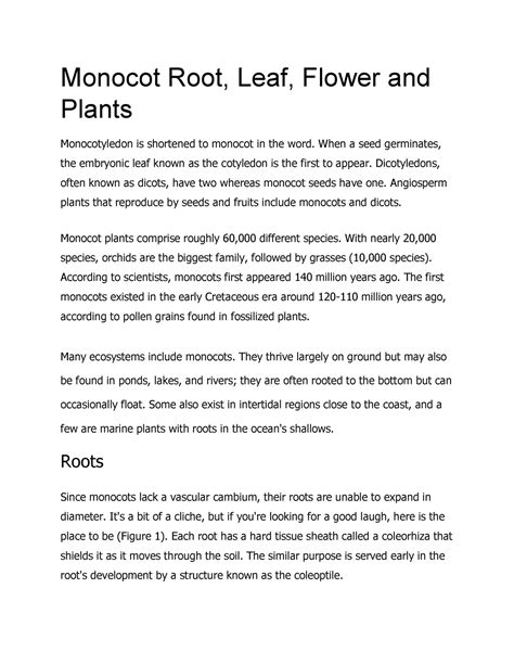 Monocot Root When A Seed Germinates The Embryonic Leaf Known As The