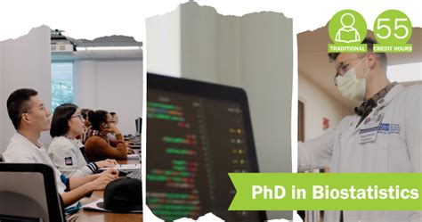 Phd In Biostatistics Usf Health