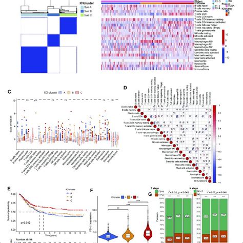 Identification Of Immune Molecular Subtypes And Characteristics Of