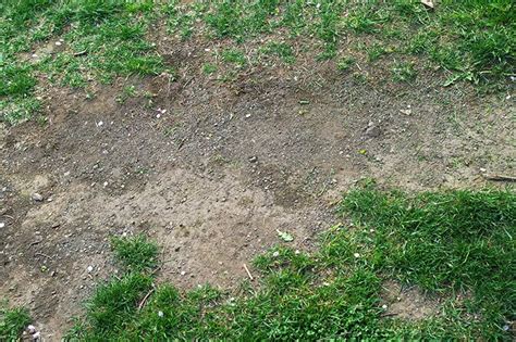 地面のフリー写真素材 No 1883 無料・商用利用可【フォトック】