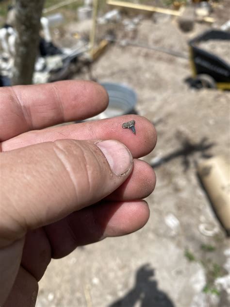 Setting Forms For A Concrete Footing In The Backyard And Found An