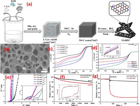 A Schematic Representation For The Synthesis Of Nitrogen And Download Scientific Diagram