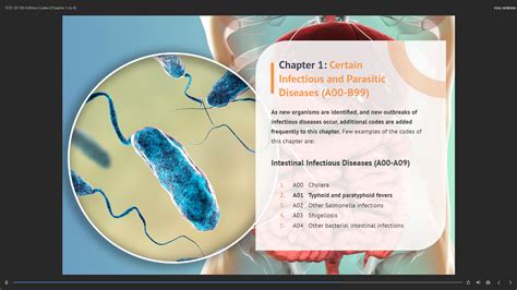 Clinical Coding Online Course One Education