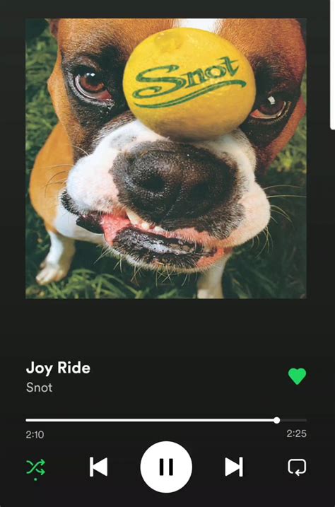 transition r truespotify