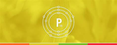 Optimizing Phosphorus Management Vrafy