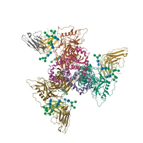 Rcsb Pdb 8sas Cryoem Structure Of Dh2705 Ch8481017
