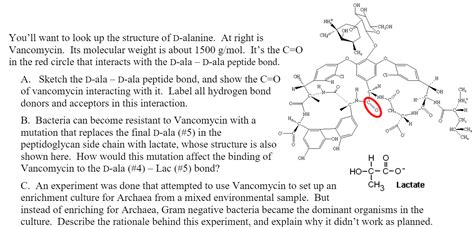 Solved OH OH NH OH O CH OH FO CHAR CH OH CI OH CH NH H Chegg Com